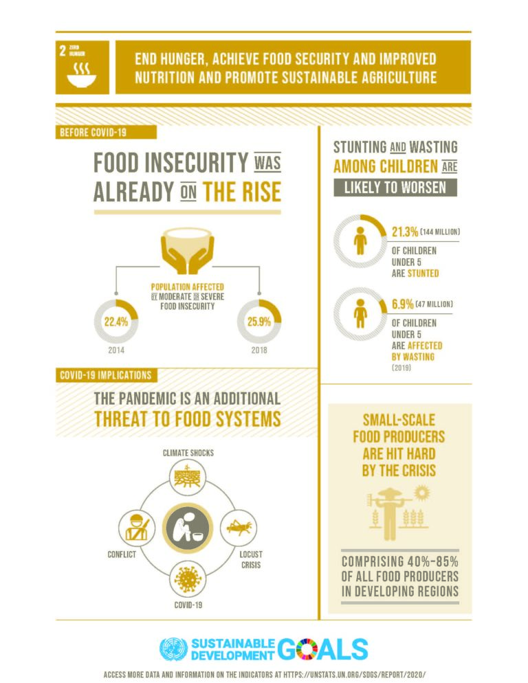 SDG 2 - No Hunger - AI for Good Foundation
