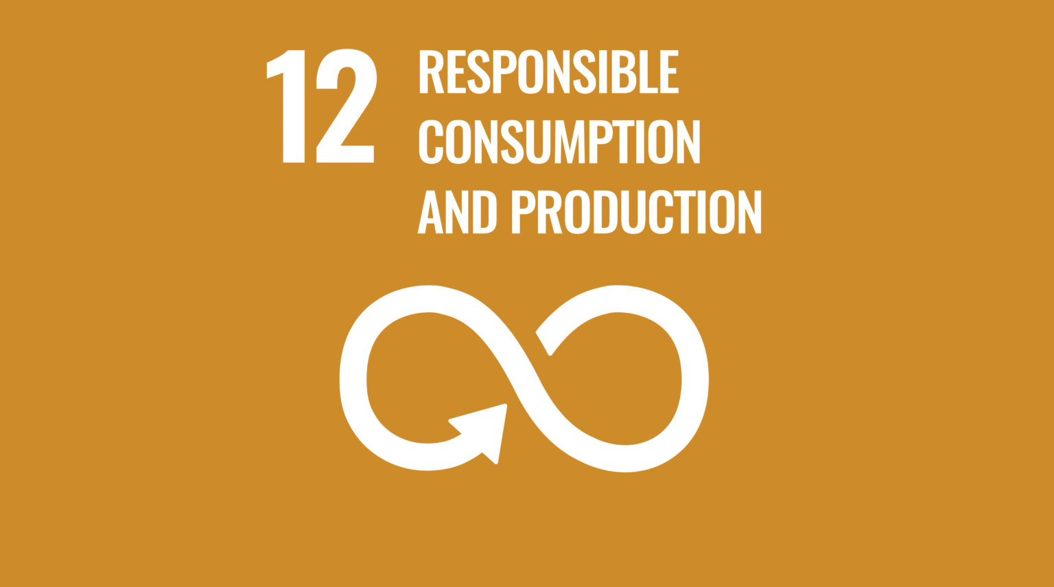 Sdg 12 Ensure Sustainable Consumption And Production Patterns Ai For