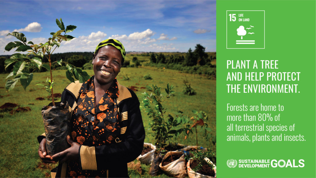 SDG 15 - Life on Land - AI for Good Foundation