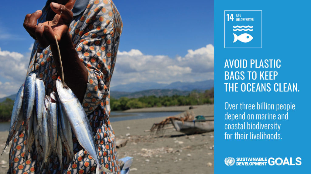 SDG 14 - Life Below Water - AI for Good Foundation